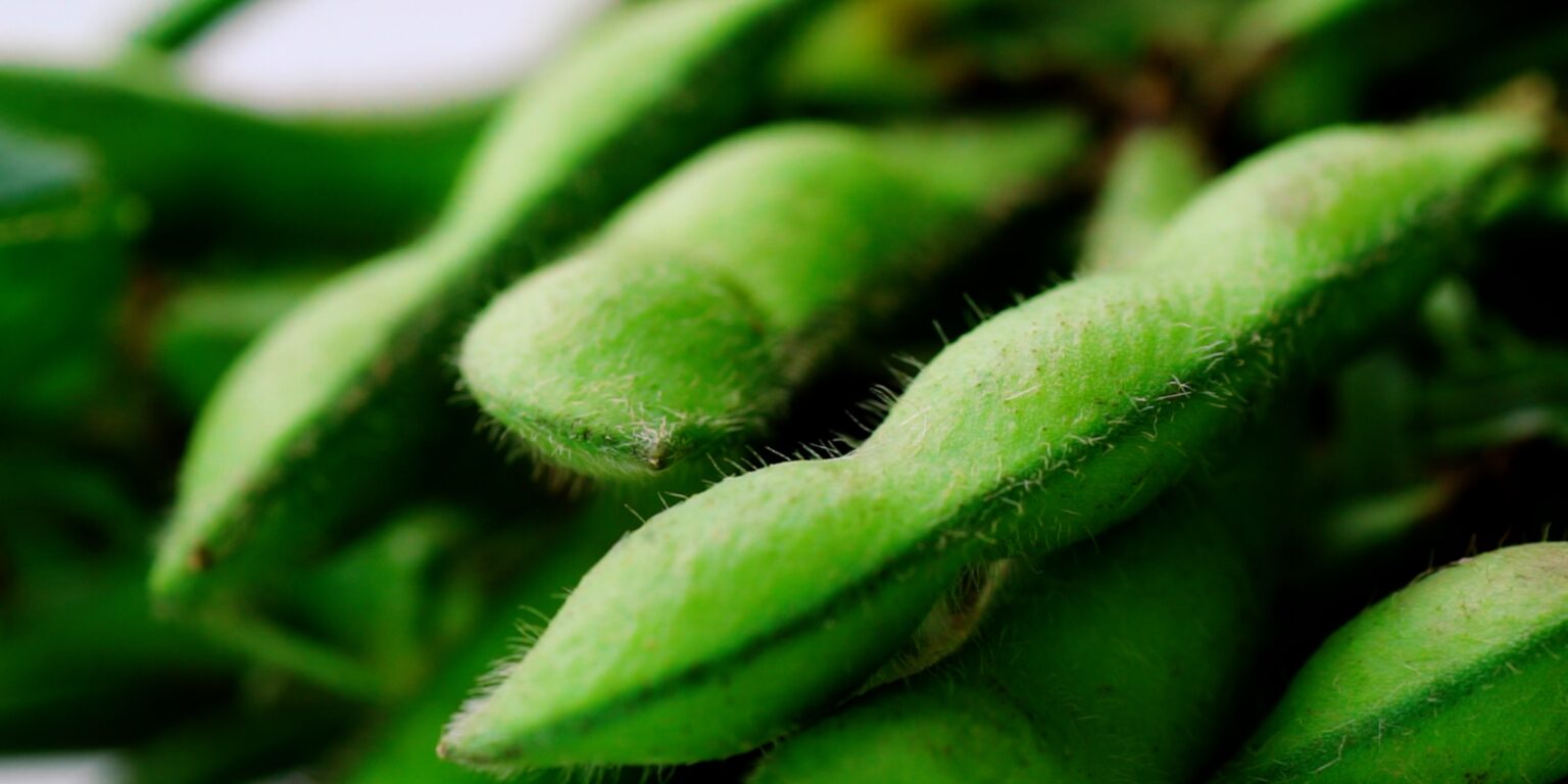 Edamame: Nutrition, Health Benefits, and Edamame Recipes