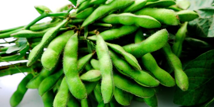 Edamame: Nutrition, Health Benefits, and Edamame Recipes