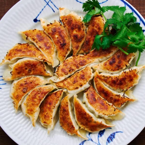 BEST Homemade Pork Gyoza Recipe (with video)