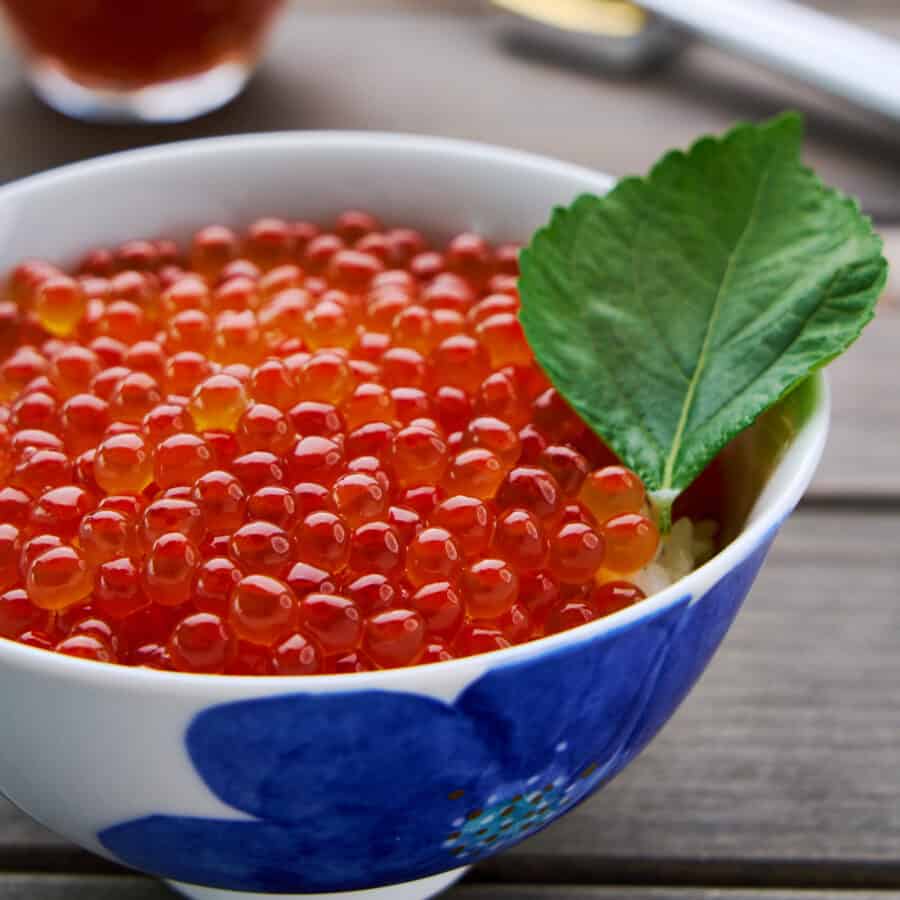How to Make Ikura - Curing Salmon Roe
