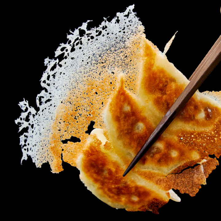 Crispy Gyoza Dumplings (Hanetsuki Gyoza)