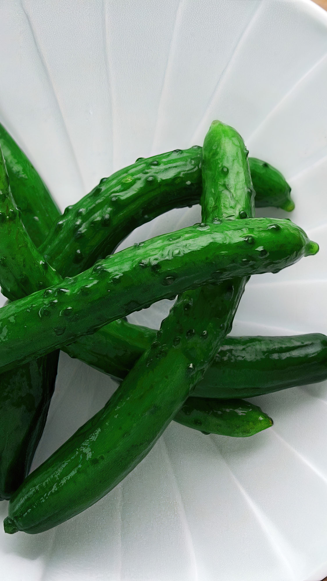Japanese Pickled Cucumber (Shiozuke)